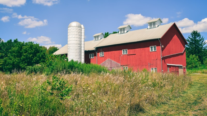 Checkoff Remittance Form | Texas Beef Council