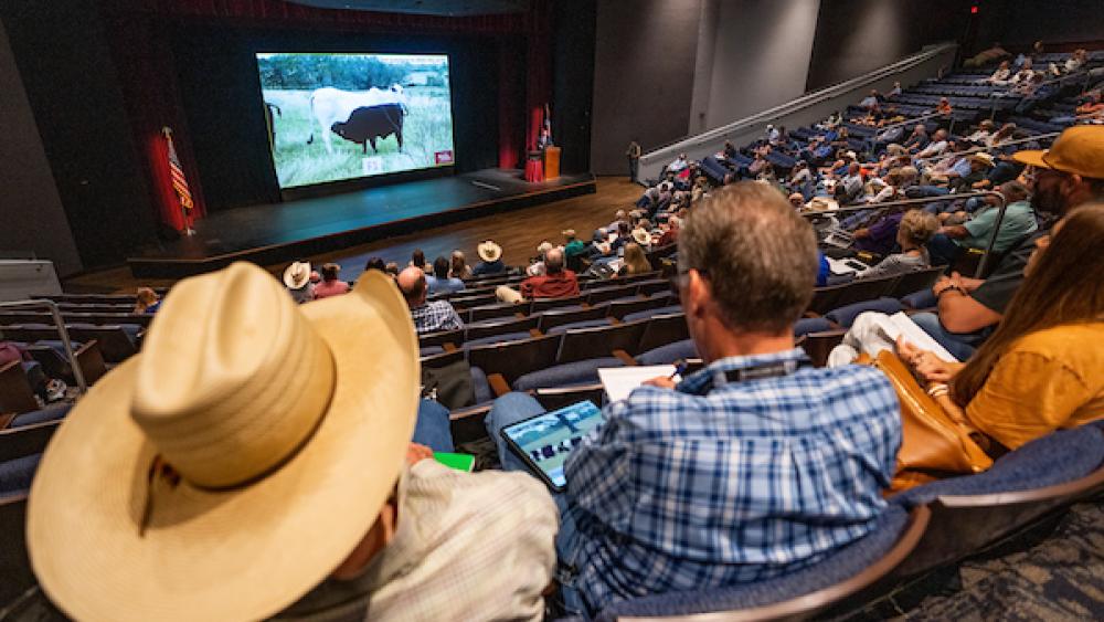TBC Presents Checkoff Update, Meets With Producers At Beef Cattle Short ...